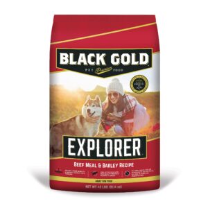 black gold explorer beef meal & barley recipe dry dog food