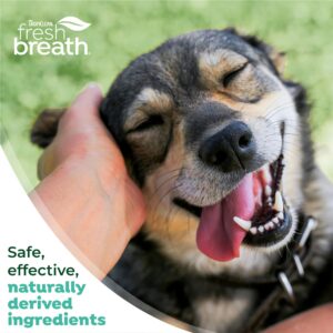 TropiClean Fresh Breath No Brush Total Care Kit | Dog Dental Hygiene| Dog Teeth Cleaning Made Easy | Water Additive No Brushing Toothpaste for Dogs