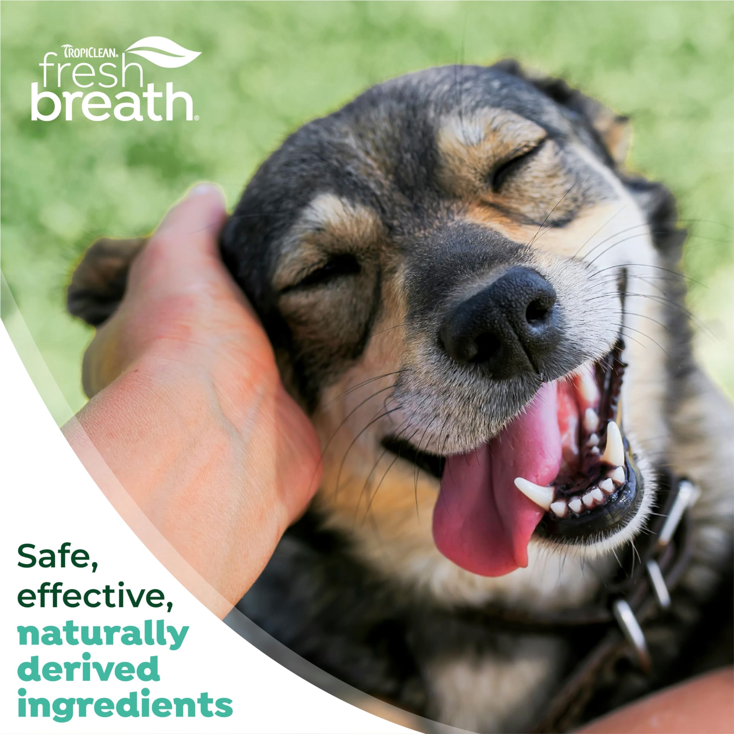 TropiClean Fresh Breath No Brush Total Care Kit | Dog Dental Hygiene| Dog Teeth Cleaning Made Easy | Water Additive No Brushing Toothpaste for Dogs