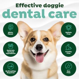 TropiClean Fresh Breath No Brush Total Care Kit | Dog Dental Hygiene| Dog Teeth Cleaning Made Easy | Water Additive No Brushing Toothpaste for Dogs