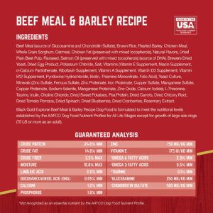 Black Gold Explorer Beef Meal & Barley Recipe Dry Dog Food