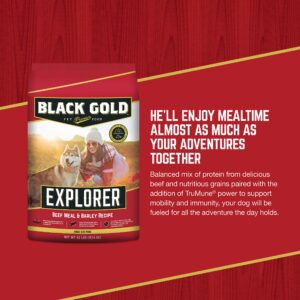 Black Gold Explorer Beef Meal & Barley Recipe Dry Dog Food