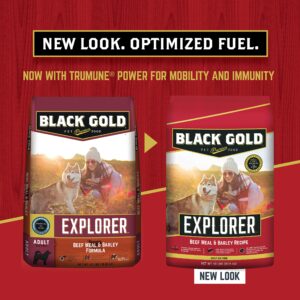 Black Gold Explorer Beef Meal & Barley Recipe Dry Dog Food