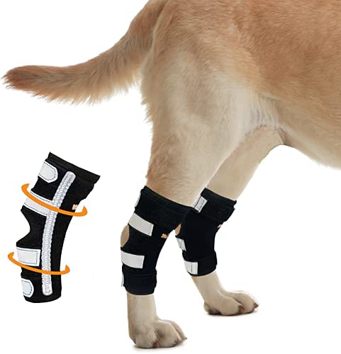 NeoAlly Dog Canine Braces for Rear Legs Super Supportive with Dual Metal Spring Inserts to Stabilize Dog Hind Legs, Help Dogs with Injuries, Sprains, Arthritis, ACL (L Pair)