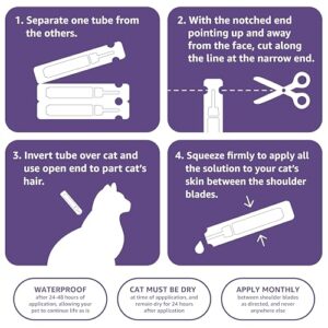 Amazon Basics Flea Topical for Large Cats (over 9 pounds), 4 Count (Previously Solimo)