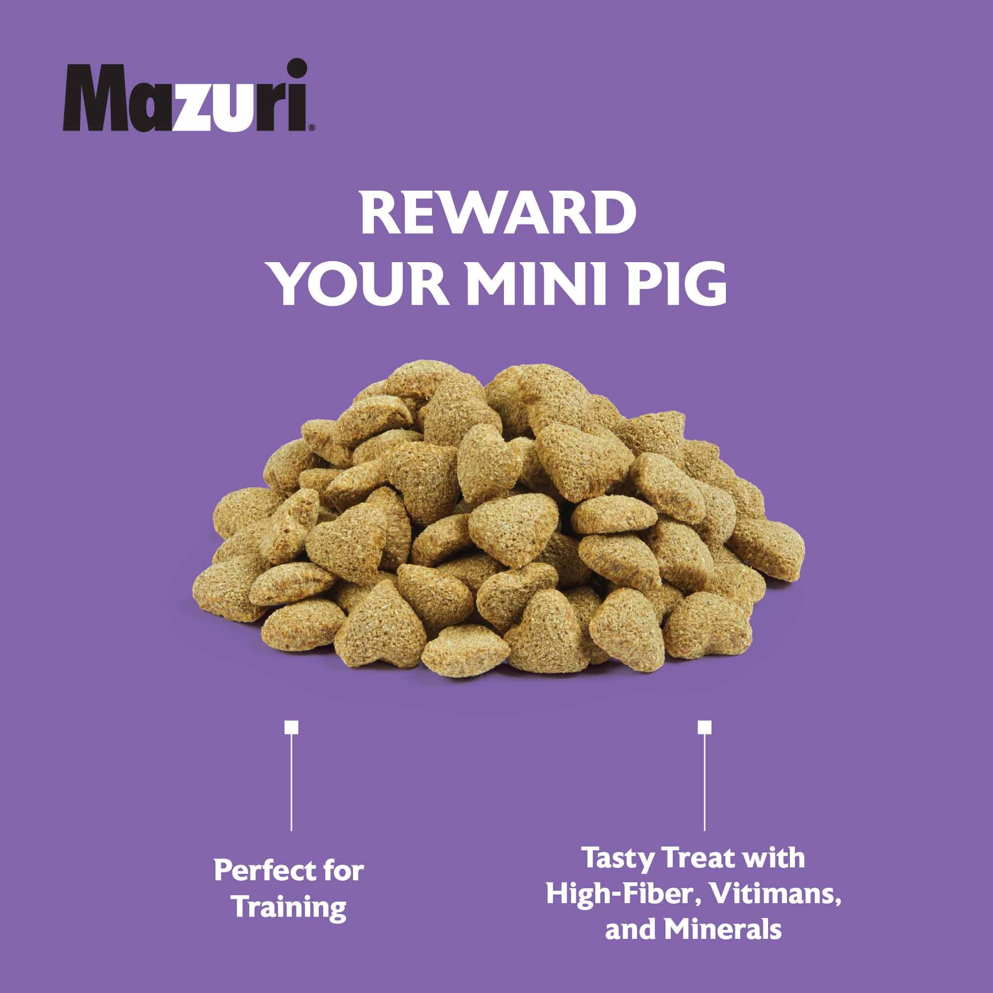 Mazuri® Mini Pig Treats – Oat & Honey, 6 lb.