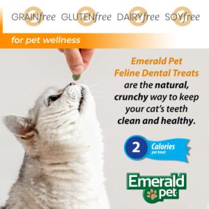 Feline Dental Treats — Tasty and Crunchy Cat Dental Treats Grain Free — Natural Dental Treats to Clean Cat Teeth, Freshen Cat Breath, and Reduce Plaque and Tartar Buildup — Salmon Treats, 11 oz