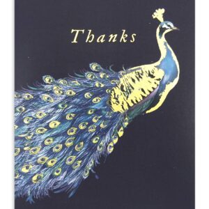 Punch Studio Boxed Thank You Card Set, Set of 10 Cards/Envelopes, Peacock Design, (45026)