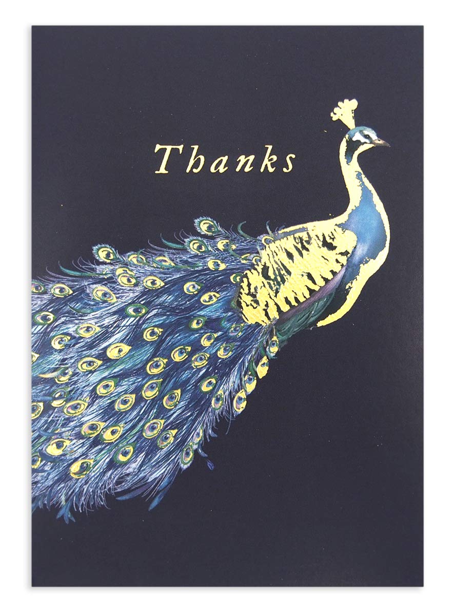 Punch Studio Boxed Thank You Card Set, Set of 10 Cards/Envelopes, Peacock Design, (45026)