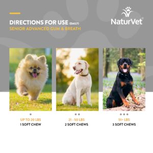 NaturVet Senior Advanced Gum & Breath Dog Supplement – Includes Peppermint, Parsley Leaf to Help Promote Periodontal Health, Fresh Breath for Dogs – 45 Ct. Soft Chews