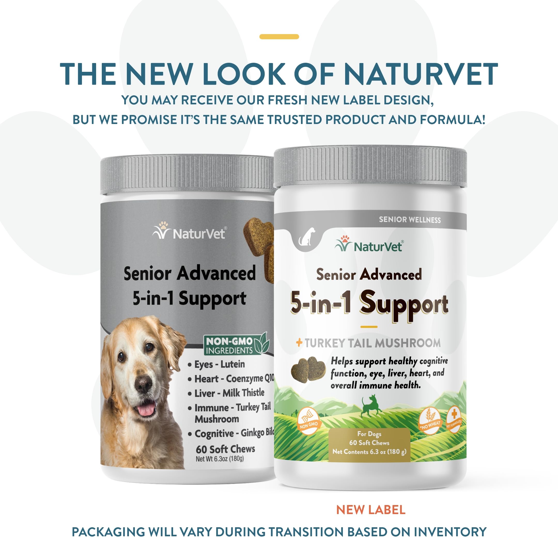 NaturVet Senior Advanced 5-in-1 Support Dog Supplement – Helps Support Immune System, Heart, Liver, Cognitive Function, Eye Health – Includes Ginkgo Biloba, Lutein – 60 Ct.