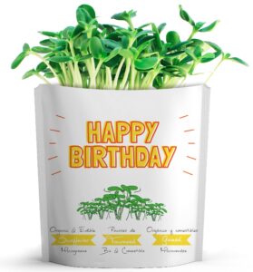 gift a green happy birthday greeting card greeting cards with organic microgreens! just like a post card, simply mail and recipient gets to grow & eat | cards for all occasions | 1 pack