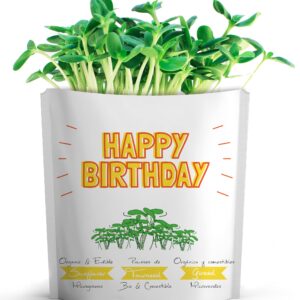 GIFT A GREEN HAPPY BIRTHDAY Greeting Card Greeting Cards with Organic Microgreens! Just Like A Post Card, Simply Mail and Recipient Gets to Grow & Eat | Cards for All Occasions | 1 PACK