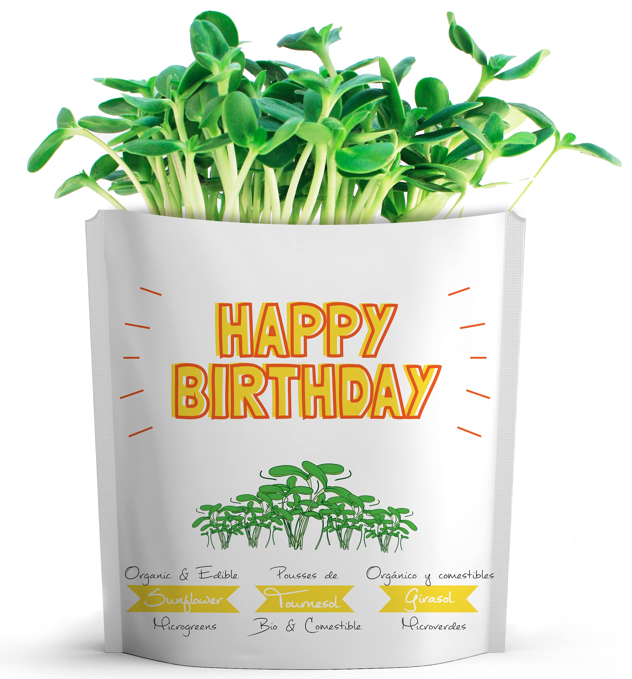 GIFT A GREEN HAPPY BIRTHDAY Greeting Card Greeting Cards with Organic Microgreens! Just Like A Post Card, Simply Mail and Recipient Gets to Grow & Eat | Cards for All Occasions | 1 PACK