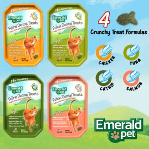 Feline Dental Treats — Tasty and Crunchy Cat Dental Treats Grain Free — Natural Dental Treats to Clean Cat Teeth, Freshen Cat Breath, and Reduce Plaque and Tartar Buildup — Salmon Treats, 11 oz