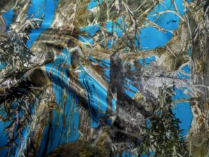 10 yard lot fabric true timber camo mc2 blue charmeuse silky bridal satin cs23 (10 yard lot)