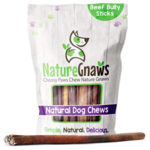 nature gnaws bully sticks for dogs - premium natural beef dental bones - long lasting dog chew treats for aggressive chewers - rawhide free - mixed thickness 11-12"