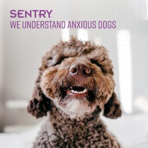 SENTRY PET Care SENTRY Calming Toy for Dogs, One Calming Drop Application Included