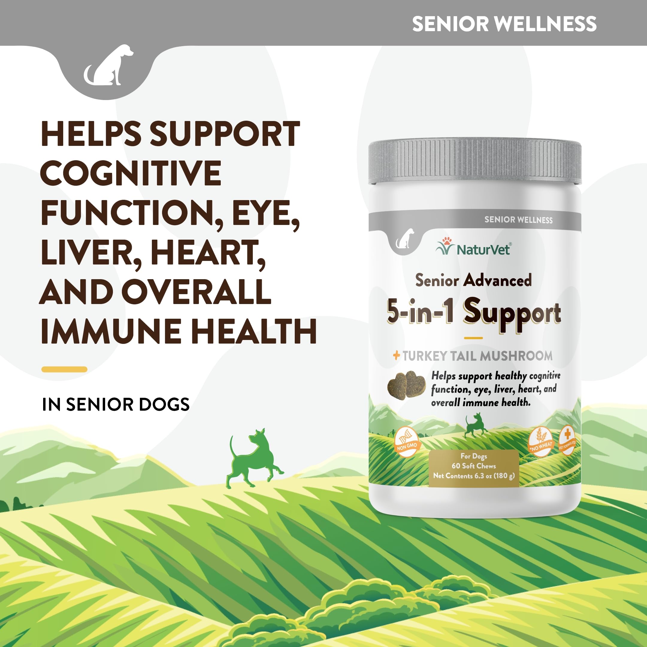 NaturVet Senior Advanced 5-in-1 Support Dog Supplement – Helps Support Immune System, Heart, Liver, Cognitive Function, Eye Health – Includes Ginkgo Biloba, Lutein – 60 Ct.