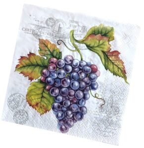 20-ct 13x13 purple grape napkins decoupage napkins luncheon cocktail paper napkins decorative paper napkins for dessert birthday wedding anniversary dinner napkins paper for all seasons mom dad artist