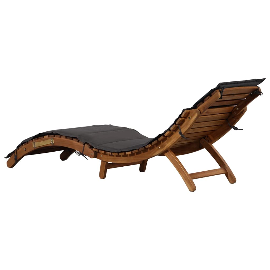 vidaXL Patio Lounge Chair, Outdoor Chaise Lounge Chair, Folding Sunlounger, Sunbed for Backyard Poolside Porch, Solid Acacia Wood Dark Gray