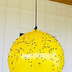 Gnat Ball - 3 Pack Replacement - Gnats, House Fly, No-See-Um, aphids whiteflies, and Love Bug Trap