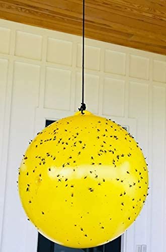 Gnat Ball - 3 Pack Replacement - Gnats, House Fly, No-See-Um, aphids whiteflies, and Love Bug Trap