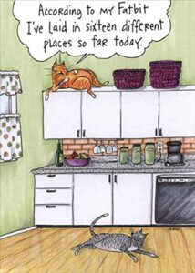 oatmeal studios two cats in kitchen funny/humorous birthday card