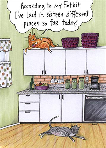 Oatmeal Studios Two Cats in Kitchen Funny/Humorous Birthday Card