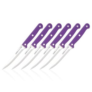 ginsu ges-pu-ds-006-1 04806pds essential series 6 piece steak knife set