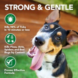 Vet's Best Tick Killing Spray | Tick Treatment Spray for Dogs | Plant-Based Formula | 1 Ounce