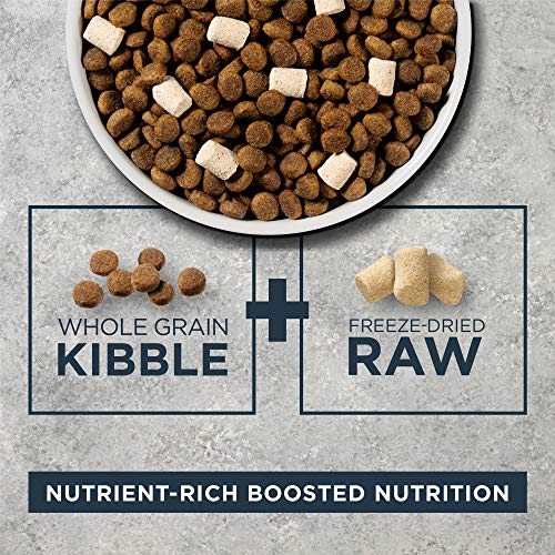 Instinct Raw Boost Whole Grain Real Salmon & Brown Rice Recipe Natural Dry Dog Food, 4.5 lb. Bag