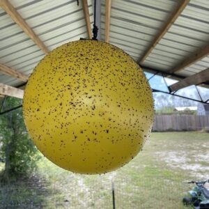 Gnat Ball - 3 Pack Replacement - Gnats, House Fly, No-See-Um, aphids whiteflies, and Love Bug Trap