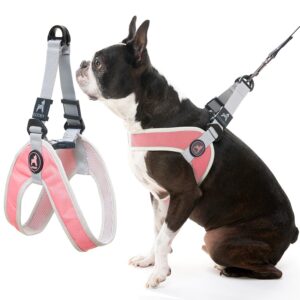 gooby simple step in iii harness - pink, small - small dog harness with scratch resistant outer vest - soft inner mesh harness for small, medium dogs