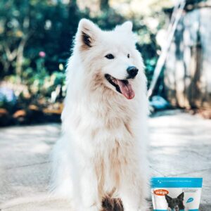 Totally Wags Collagen for Dogs: All Natural Premium Non GMO Collagen. Supports Healthy Joints, Skin, Fur, Digestion.