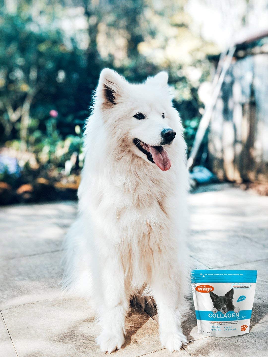 Totally Wags Collagen for Dogs: All Natural Premium Non GMO Collagen. Supports Healthy Joints, Skin, Fur, Digestion.