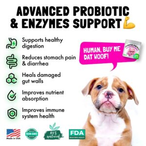 Probiotics for Dogs Natural Digestive Enzymes Prebiotics for Allergy Itch Relief Gut Flora Coprophagia Bowel Support Treatment Anti Diarrhea for Dogs Pet Health Immune System Support 120 Soft Chews