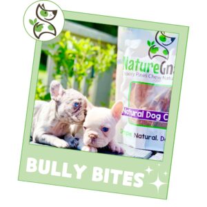 Nature Gnaws Bully Stick Bites for Small Dogs 2-4" (8oz) - Long Lasting for Light Chewers and Puppies - Natural Beef Dog Chew Treats - Rawhide Free