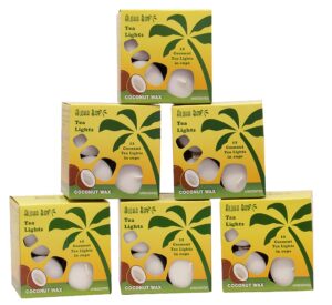 aloha bay coconut wax blend unscented tealights - 72 individual tealight candles -white