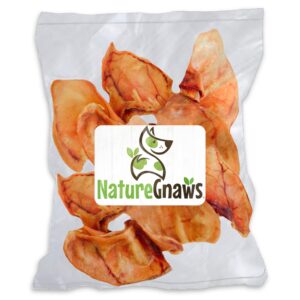 nature gnaws pig ears for dogs (15 count) - thick long lasting for aggressive chewers and large dogs - natural pork dog chew bones - rawhide free