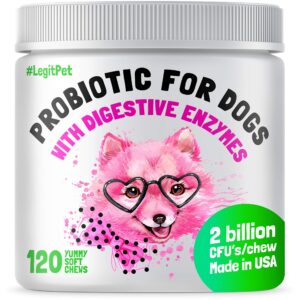 probiotics for dogs natural digestive enzymes prebiotics for allergy itch relief gut flora coprophagia bowel support treatment anti diarrhea for dogs pet health immune system support 120 soft chews