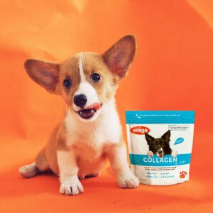 Totally Wags Collagen for Dogs: All Natural Premium Non GMO Collagen. Supports Healthy Joints, Skin, Fur, Digestion.