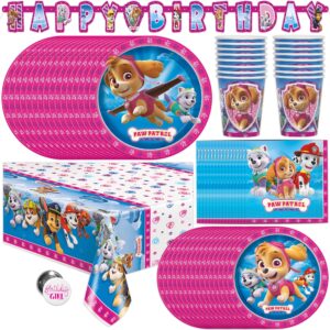 pink skye paw patrol party supplies and decorations for girls birthday party, features skye and everest, serves 16 guests, includes tableware and decor with table cover, banner, plates, napkins & more