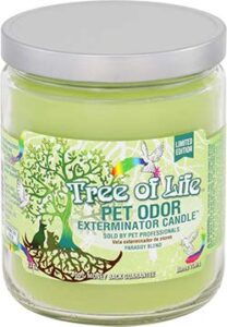 pet odor exterminator 13oz jar candle, tree of life, limited edition