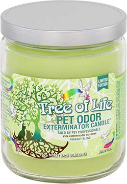 Pet Odor Exterminator 13oz jar Candle, Tree of Life, Limited Edition