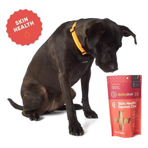 dailydose Dual Benefit - Dental + Skin Health Chews for Dogs, Large | Dental Treats with Supplements (77123)