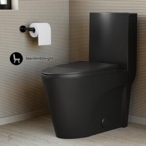 St. Tropez One-Piece Elongated Toilet Vortex Dual-Flush in Matte Black 1.1/1.6 gpf