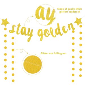 2 Pieces Stay Golden Banner Glitter Gold Lucky Birthday Banner Circle Dot Hanging Garland for Birthday Baby Shower Party Decoration Supplies