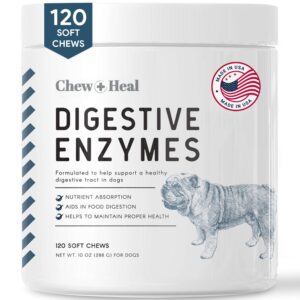 digestive enzymes with probiotics for dogs - 120 soft chews - supports healthy digestive tract, helps nutrient absorption, food digestion, and health maintenance