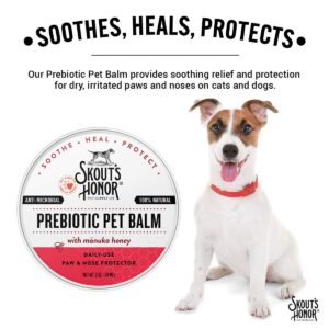 SKOUT'S HONOR Prebiotic Pet Balm - 100% Natural and Made with Manuka Honey, Soothes Dry, Itchy Paws and Noses - Safe for Cats and Dogs, 2oz